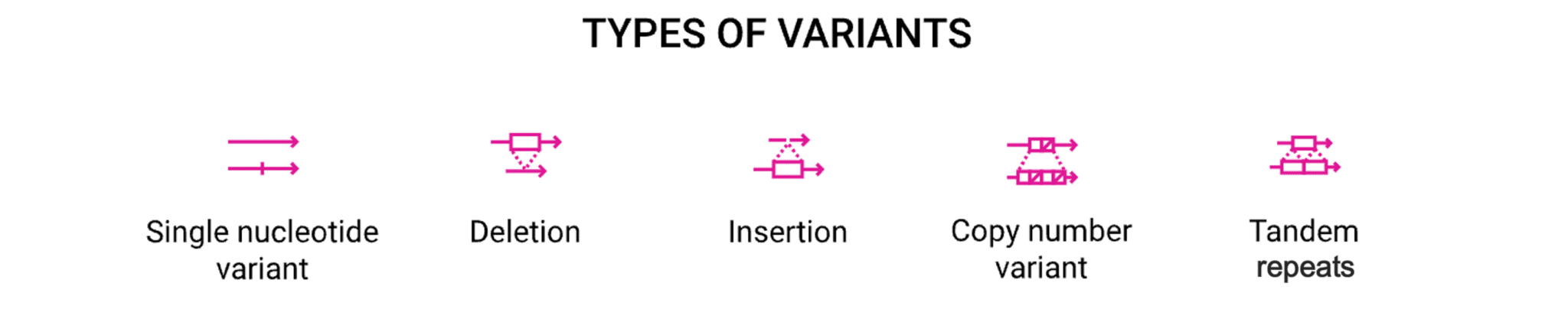 What are genomic variants and why do they matter? - PacBio