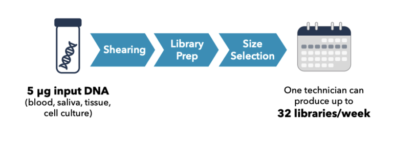 New HiFi Sequencing Workflow and Software Update Streamlines Whole Genome Sequencing - PacBio